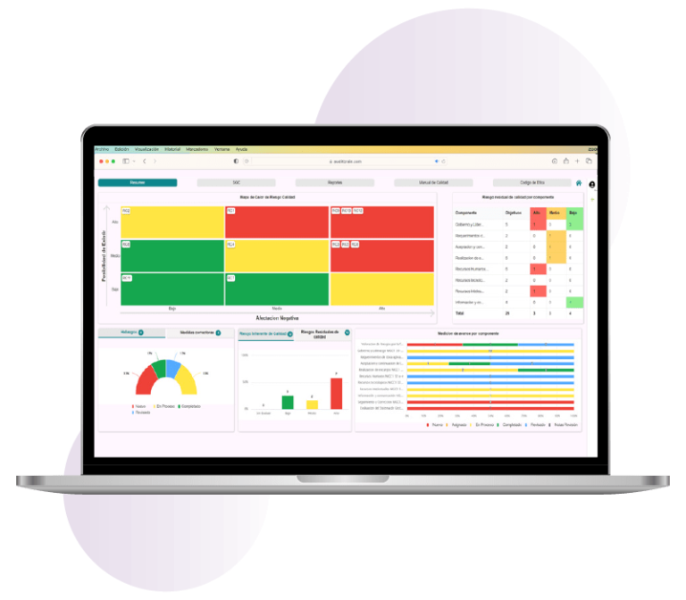 Software en la Nube AuditBrain NIGC1 - AuditBrain